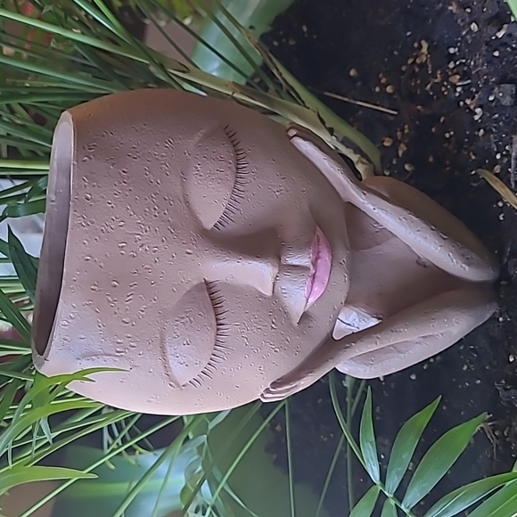 Aimebby Store | Accents | Face Flower Pot Head | Poshmark